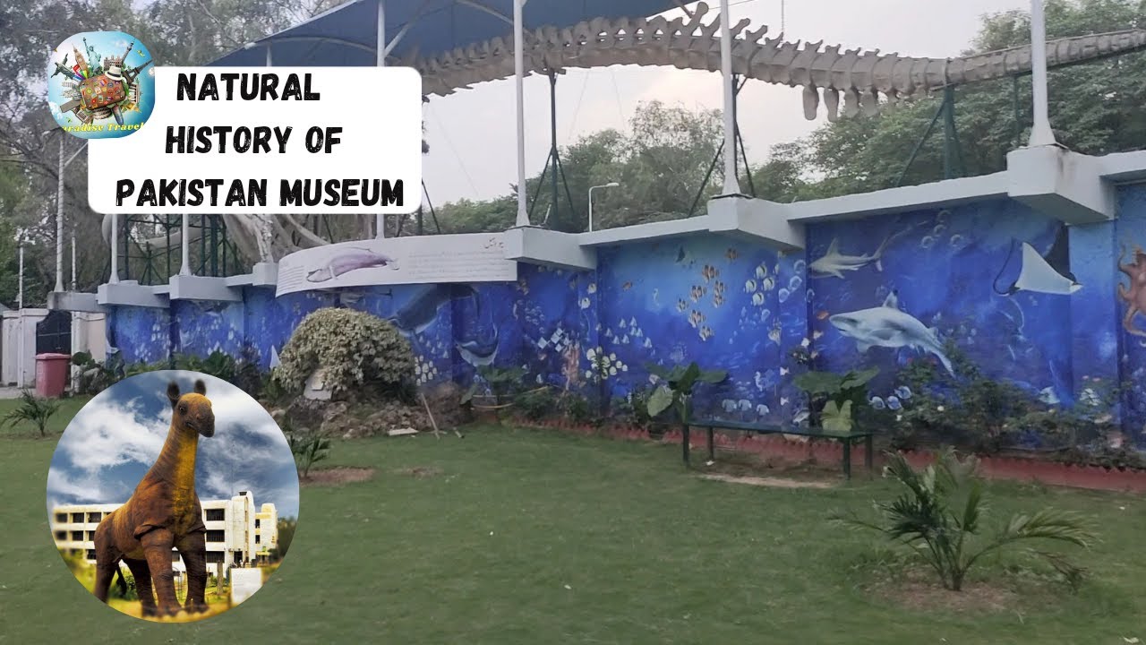 Timeless Treasures : Unveiling the Natural History of Pakistan Museum ...
