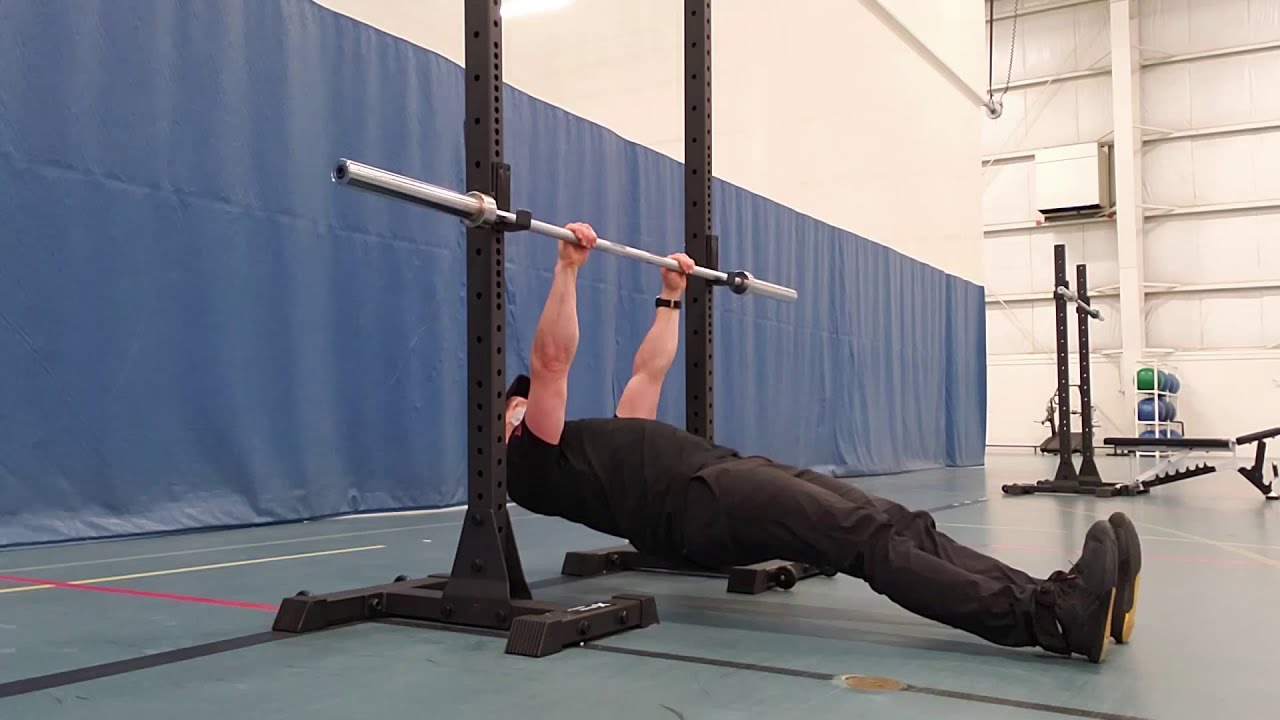 Scapular Pull Progression - YouTube