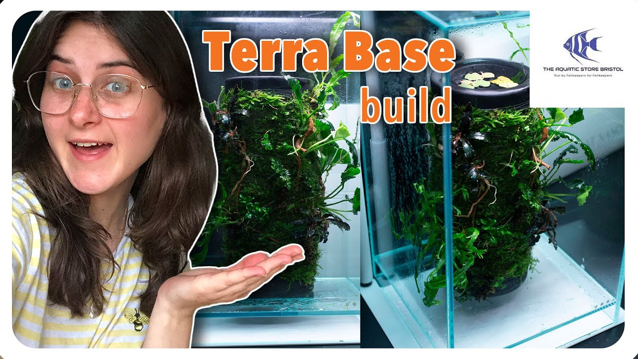 ADA Terra Base Build - YouTube