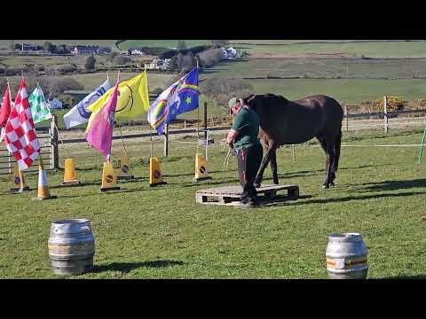 Rexelle advanced *walk only 2025 - YouTube