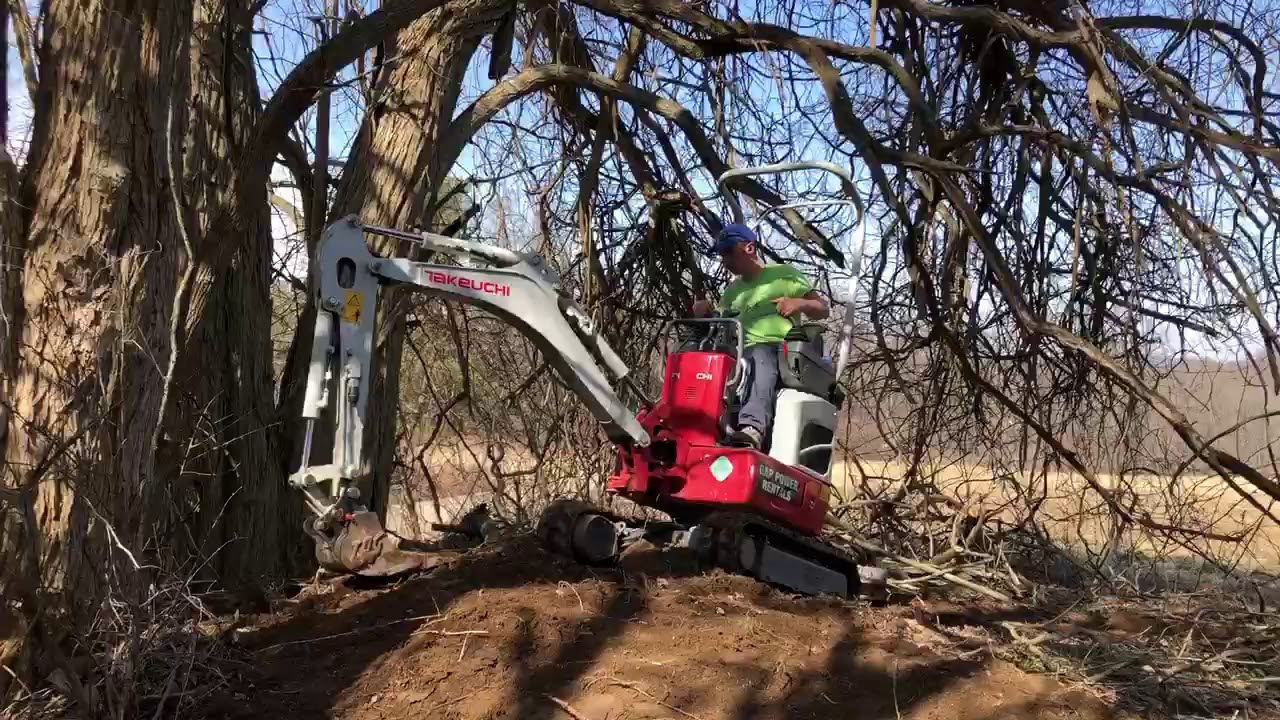 Crossan Park Phase 3 Trail Building - YouTube