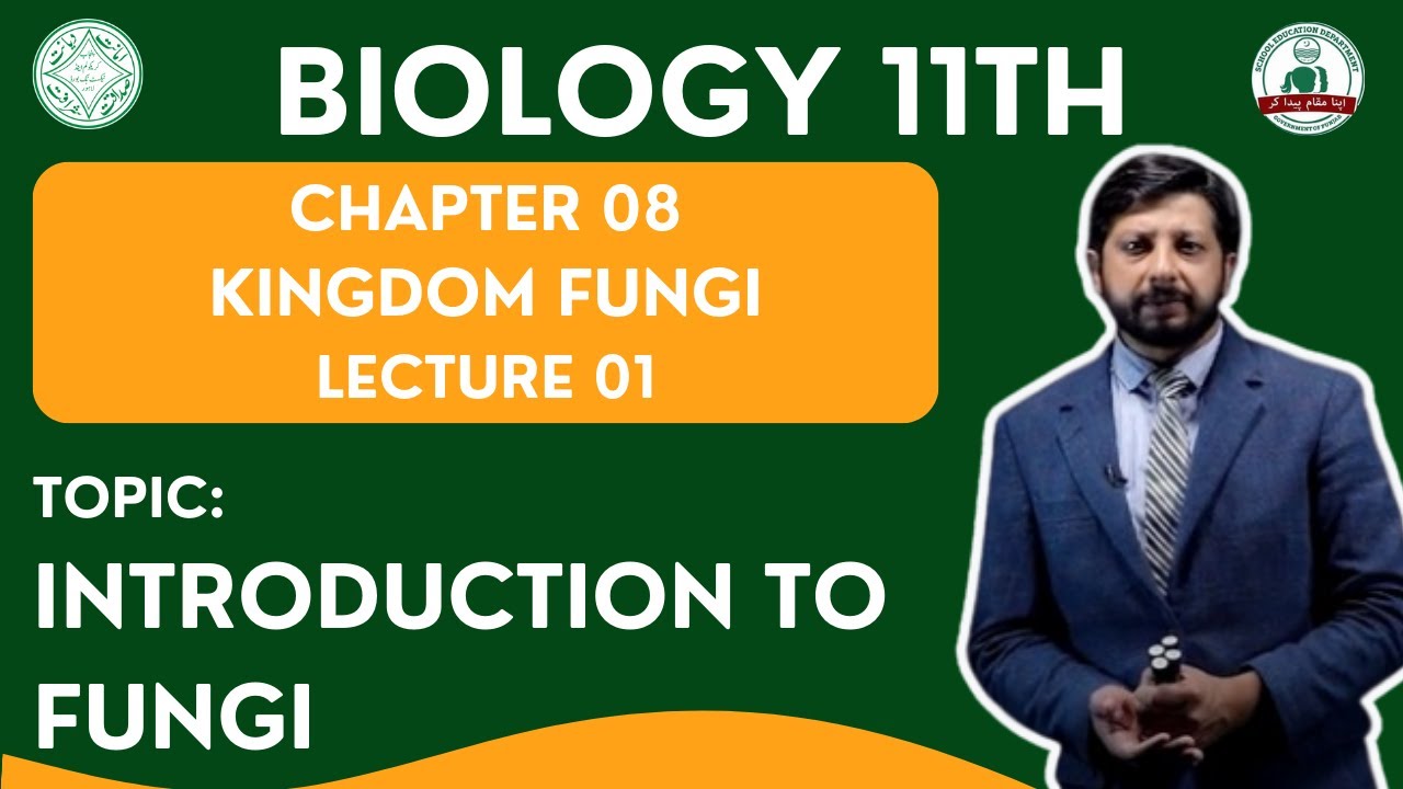 Introduction to Fungi | GRADE 11 BIOLOGY | LECTURE 1 | KINGDOM FUNGI ...