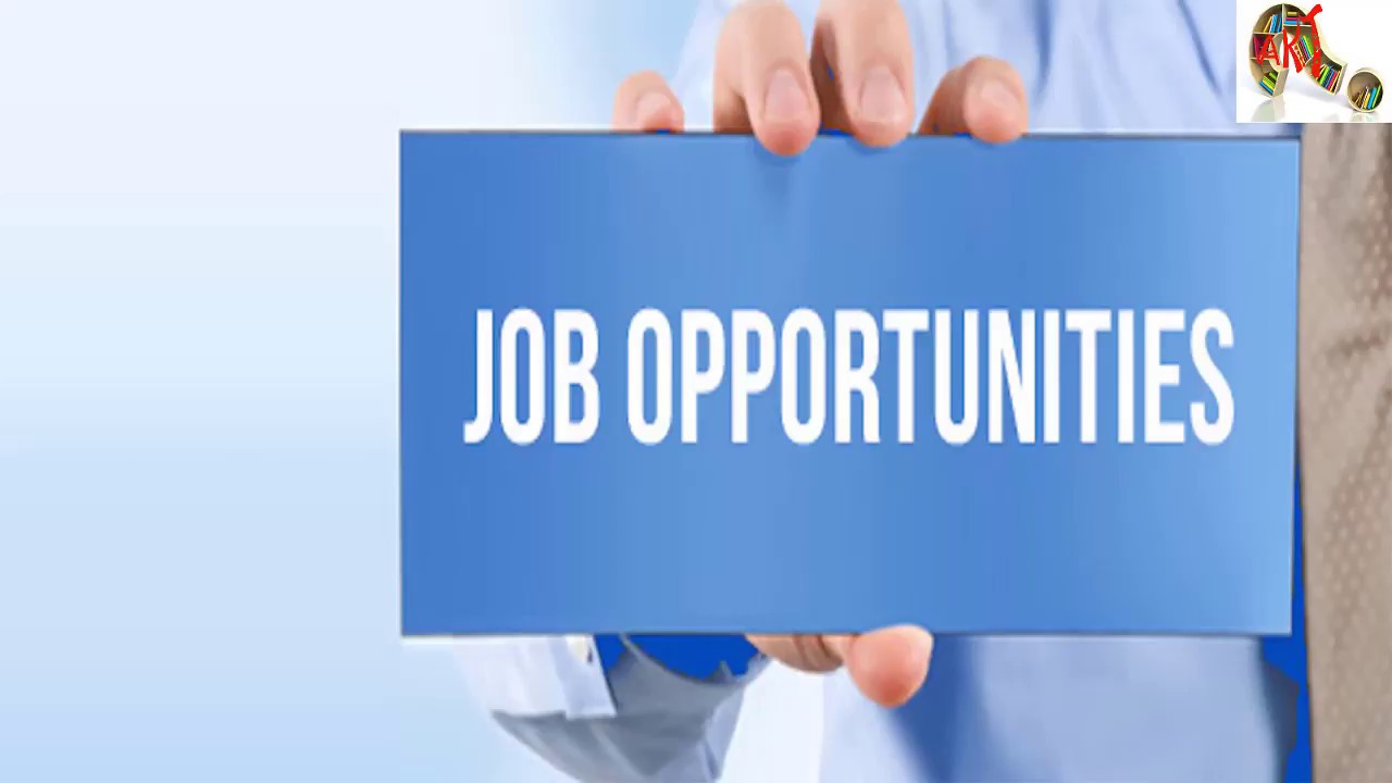 Requirment For Senior Software Developer In Land And Land Reforms
