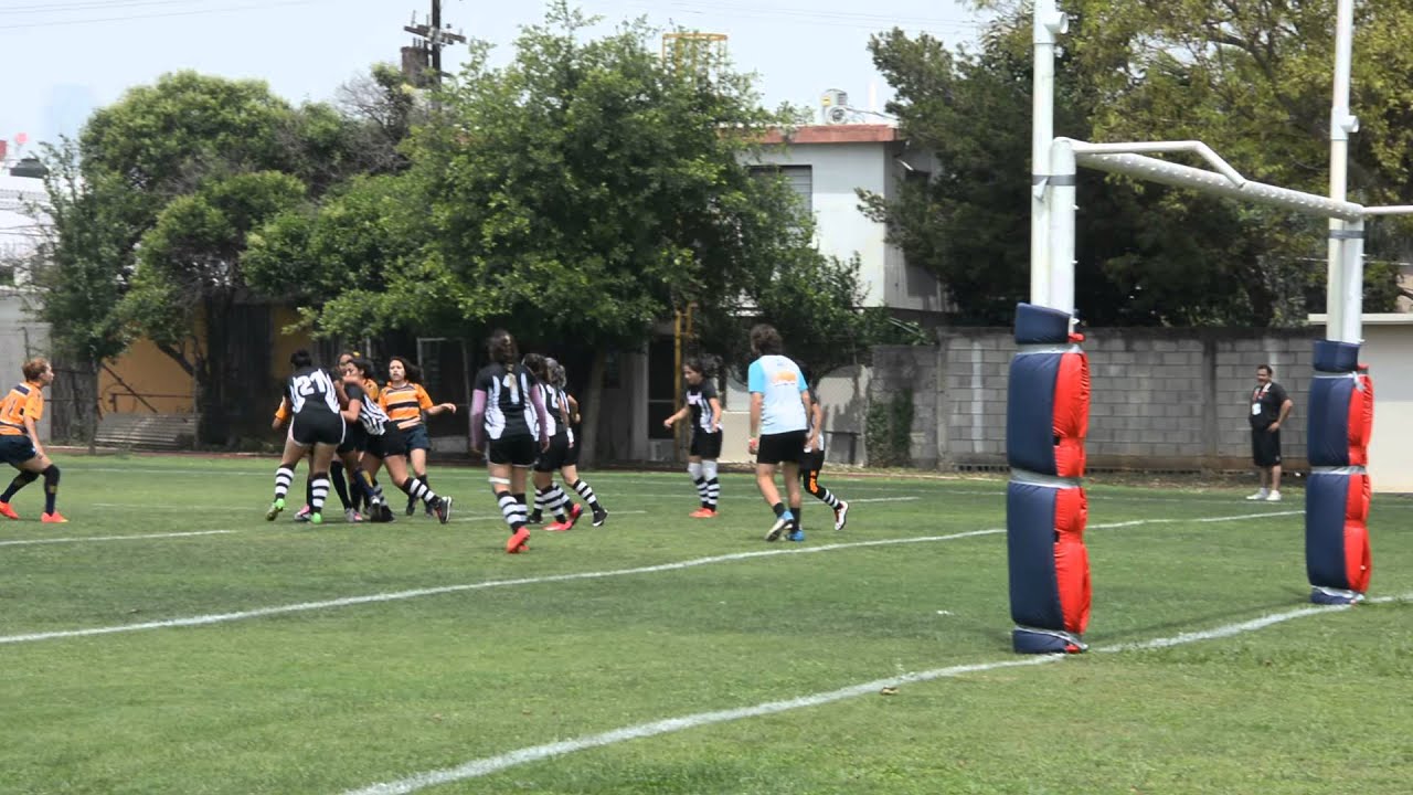 CODE JALISCO OFICIAL - YouTube