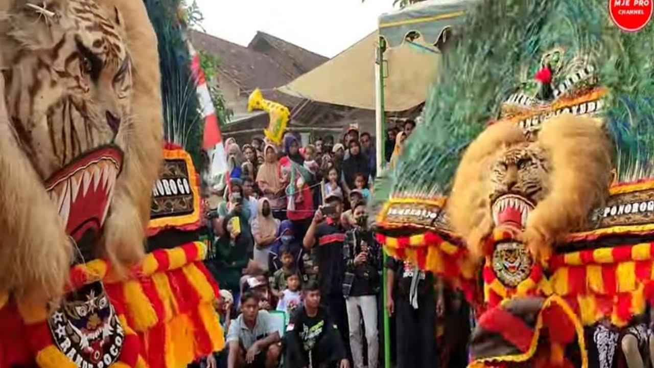 ADU SEKIL APIK PARA PEMBARONG LIVE JONGOL JAMBON - YouTube
