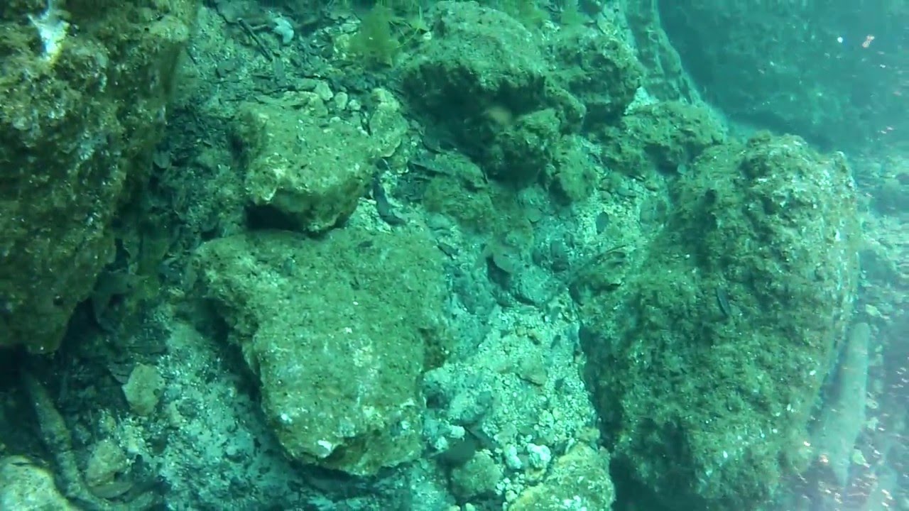 Manatee Springs State Park cave diving traverse from catfish hotel to ...