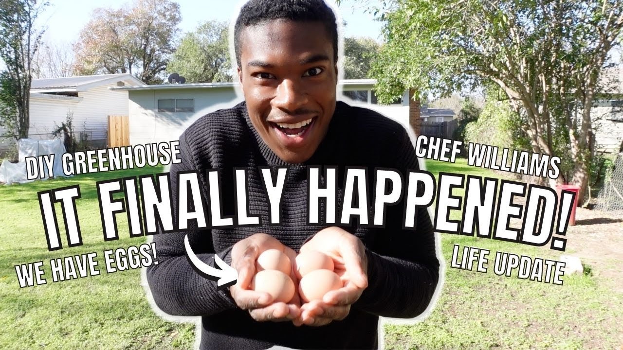 IT FINALLY HAPPENED! | ETHAN & COURT - YouTube