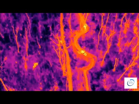 (MUST WATCH) Ukraine Military Drop Bomb with DJI Mavic with FLIR Thermal camera