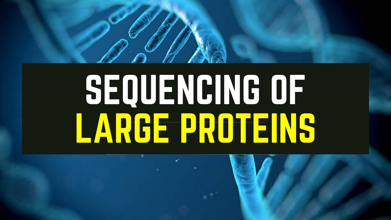 SEQUENCING OF LARGE PROTEINS - YouTube