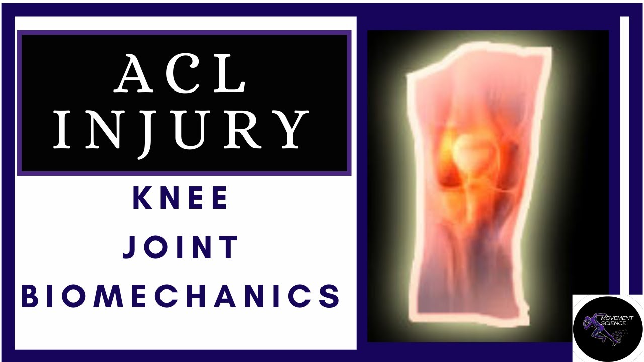 ACL KNEE JOINT BIOMECHANICS (Mechanism of injury, attachments,function ...