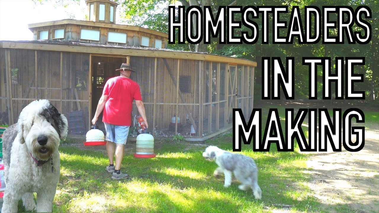 Building Our Homestead - First 2 Years - YouTube