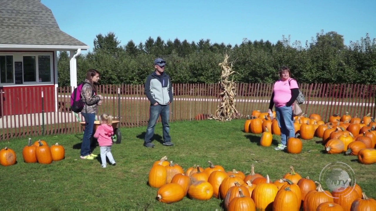 Jonamac Orchard - Malta Illinois - YouTube