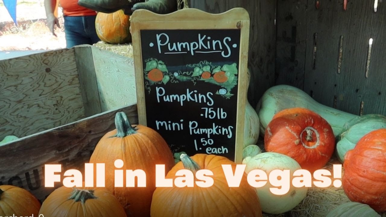 Let's Visit Gilcrease Orchard in Las Vegas! Fall 2022 - YouTube