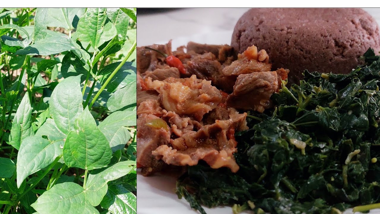How To Cook Cowpeas Leaves // How To Prepare Kunde //Traditional ...