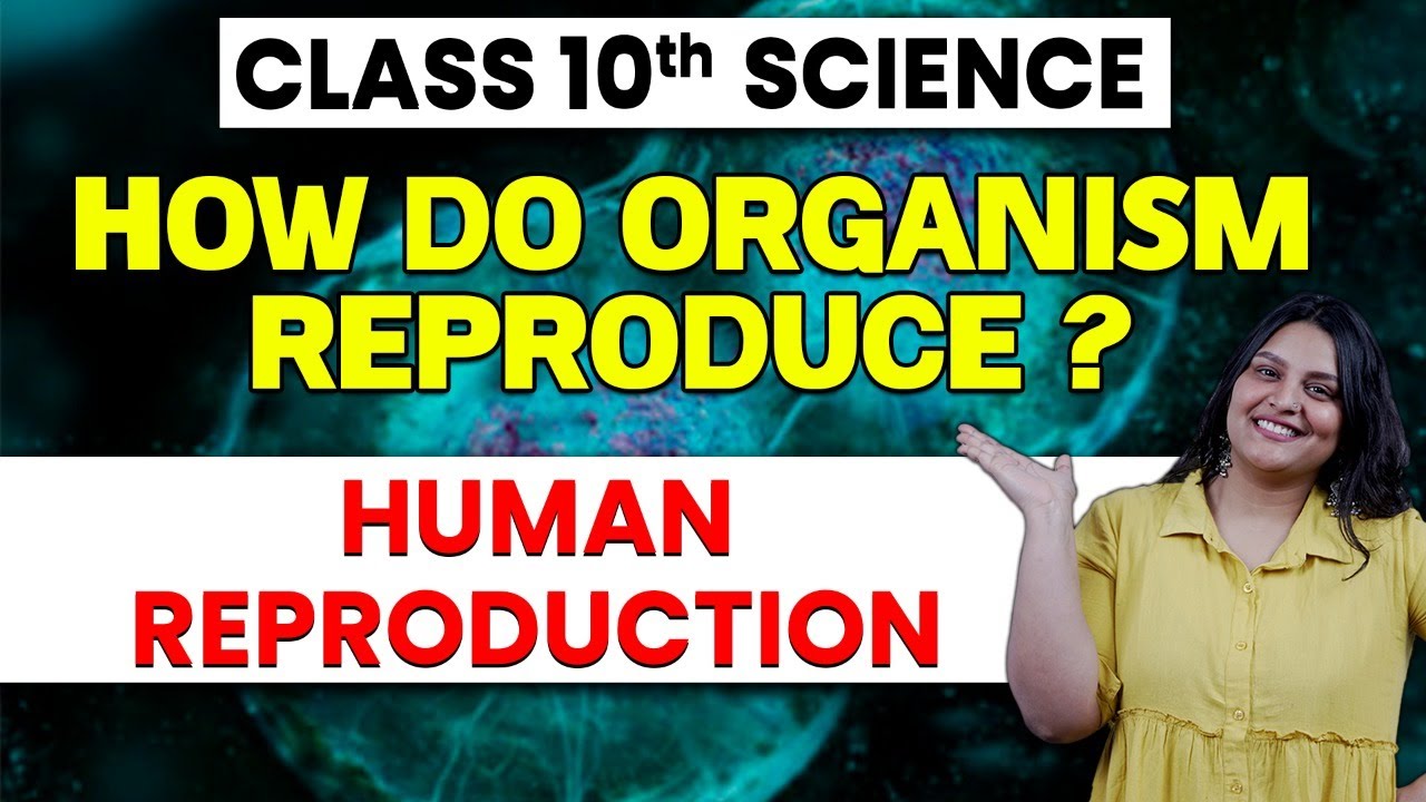How Do Organisms Reproduce? | Human Reproduction| Class 10 Biology ...