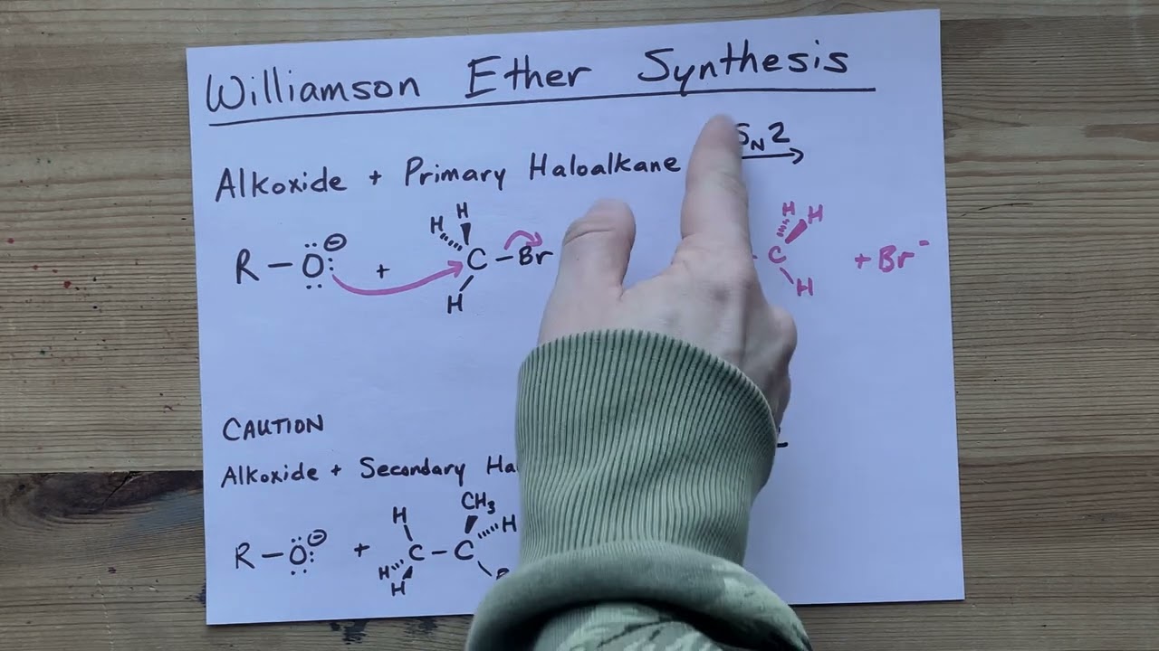 Williamson Ether Synthesis: Alkoxide + Primary Haloalkane - YouTube