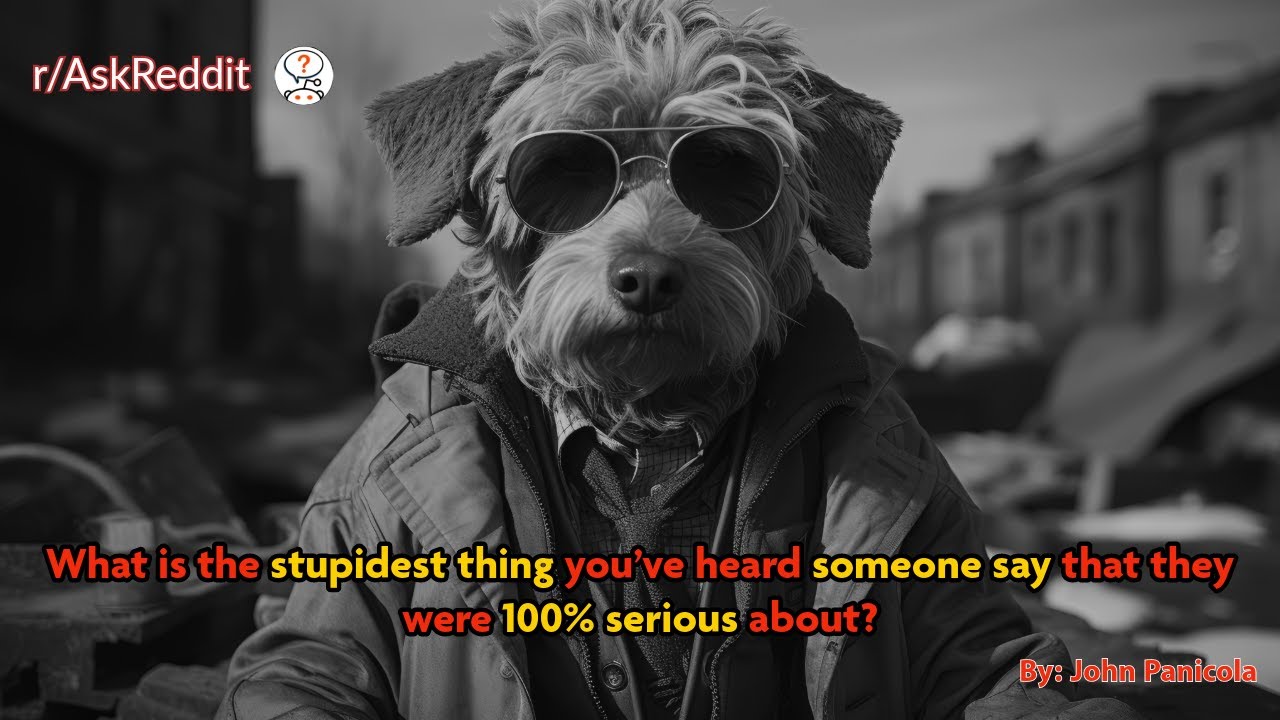 What Is The Stupidest Thing You ve Heard Someone Say That They Were 100 what-is-the-stupidest-thing-you-ve-heard-someone-say-that-they-were-100