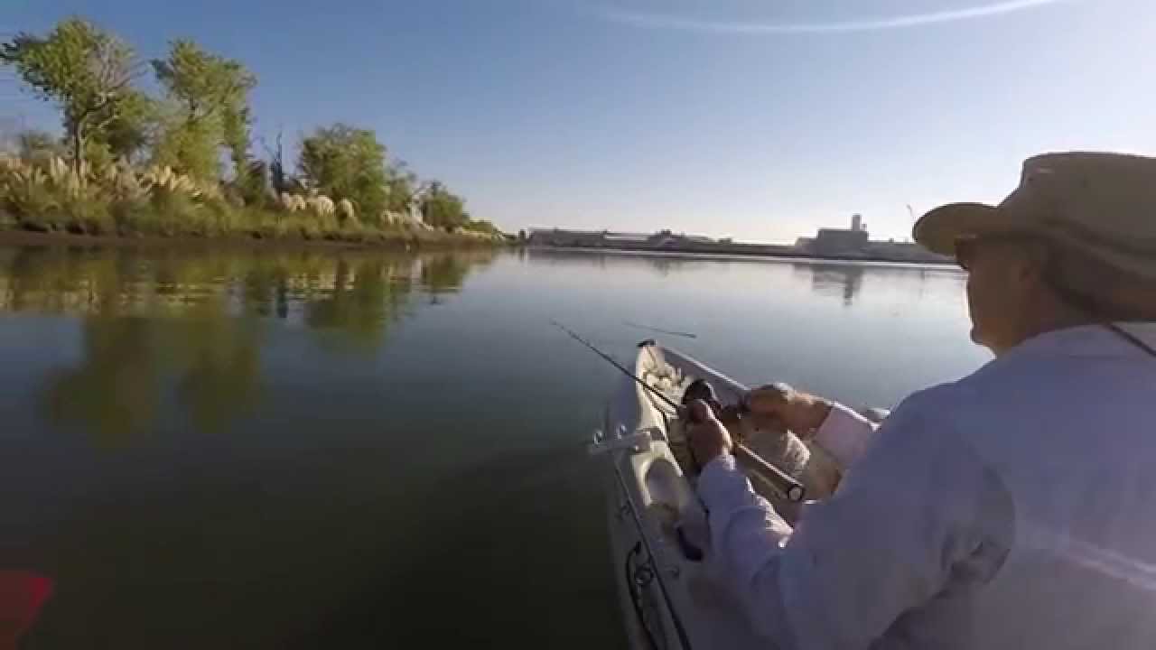 Topwater Fishing Sacramento Deep Water Canel - YouTube