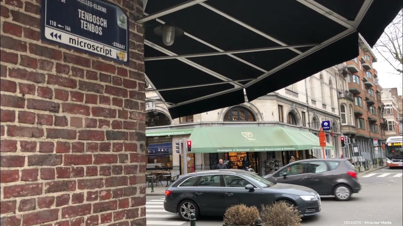 Microscript | 20240220 - YouTube