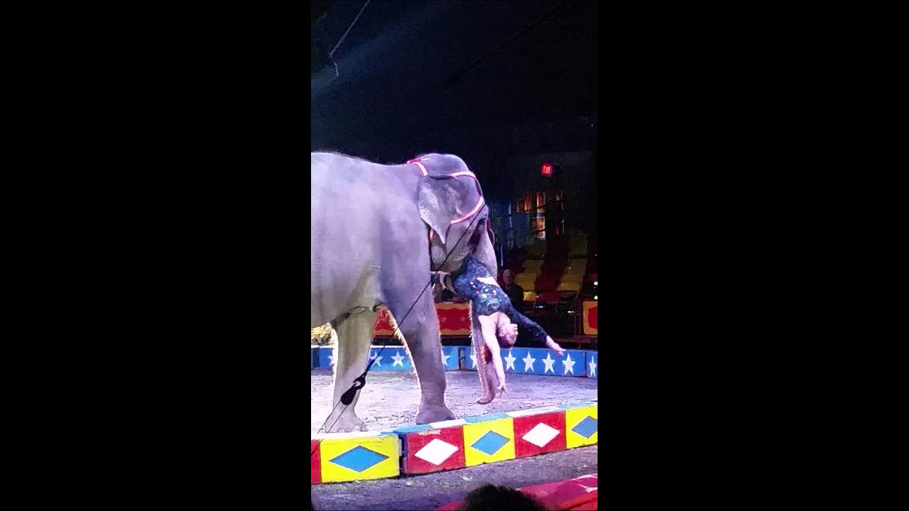 Cole Bros. Circus Elephant Carrying Girl - YouTube