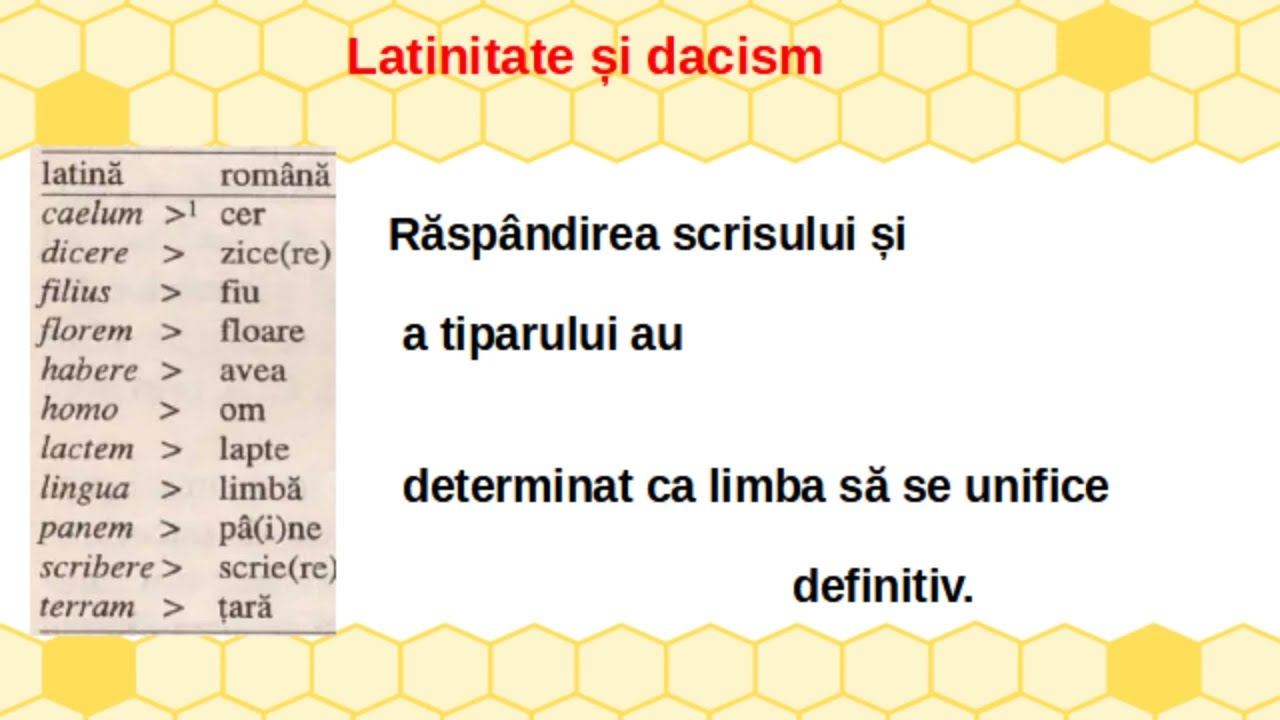 Latinitate și dacism, Studiu de caz, Rezolvare teme Limba română clasa ...
