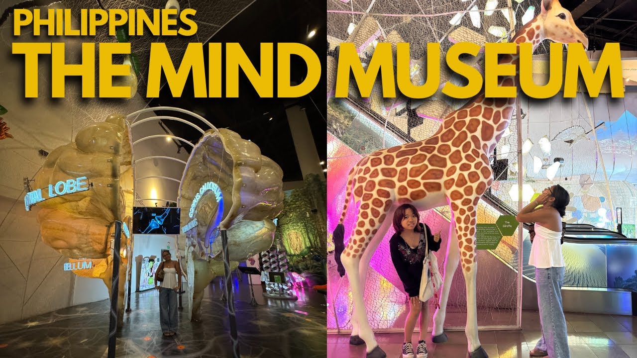 Why The Mind Museum is a Must-Visit for Learning! - YouTube