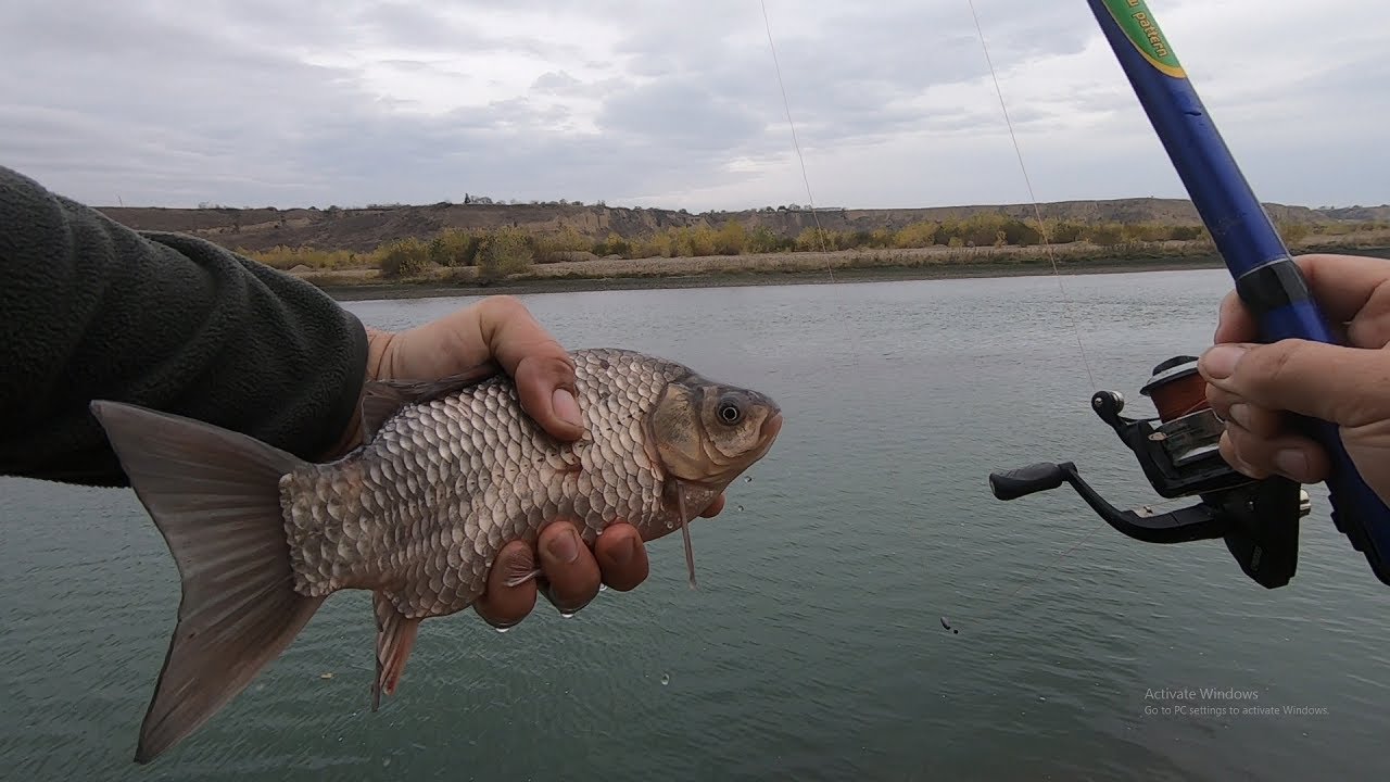 Am rupt carasul pe Siret numai bucăți mari - YouTube