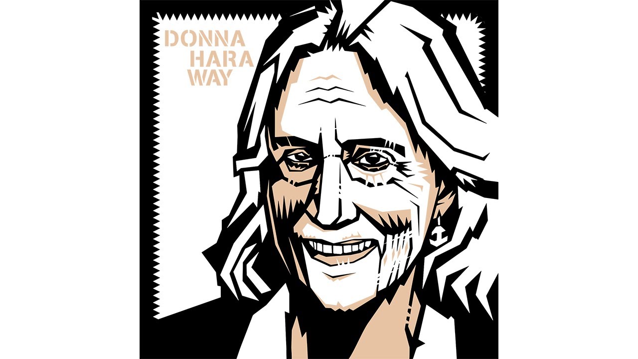 tl;dr #11: Donna Haraway: Unruhig bleiben - tl;dr - YouTube