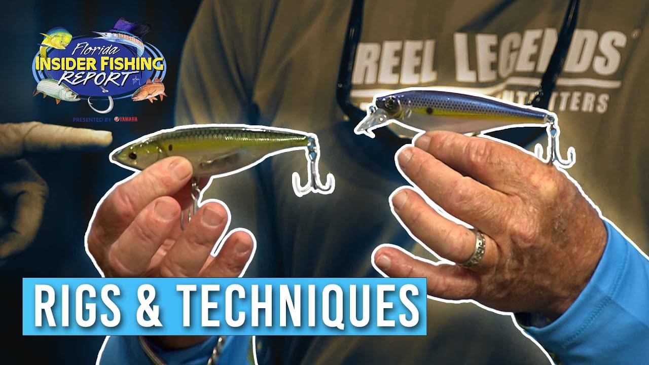 Elevate your Snook Fishing with these Rigs & Techniques - Florida ...