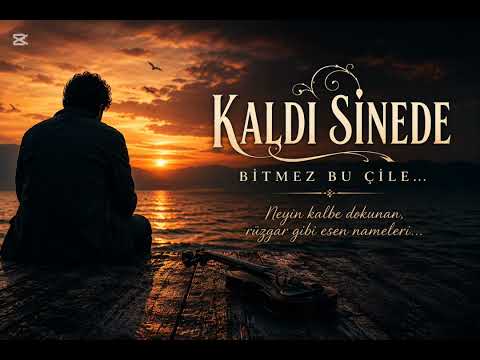 Kaldı Sinede… | ZAURAİX