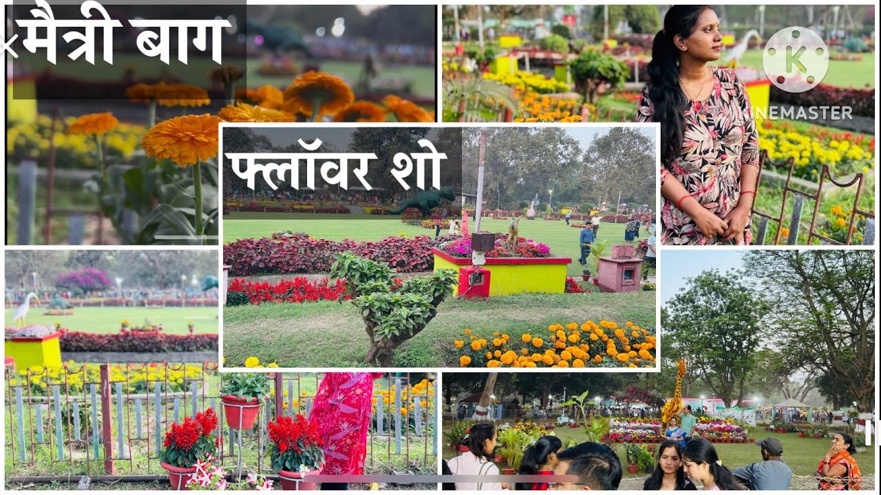 Maitri bag flower show bhilai 2025 | फूलों की अदभुत दुनिया । फ्लावर शो ...
