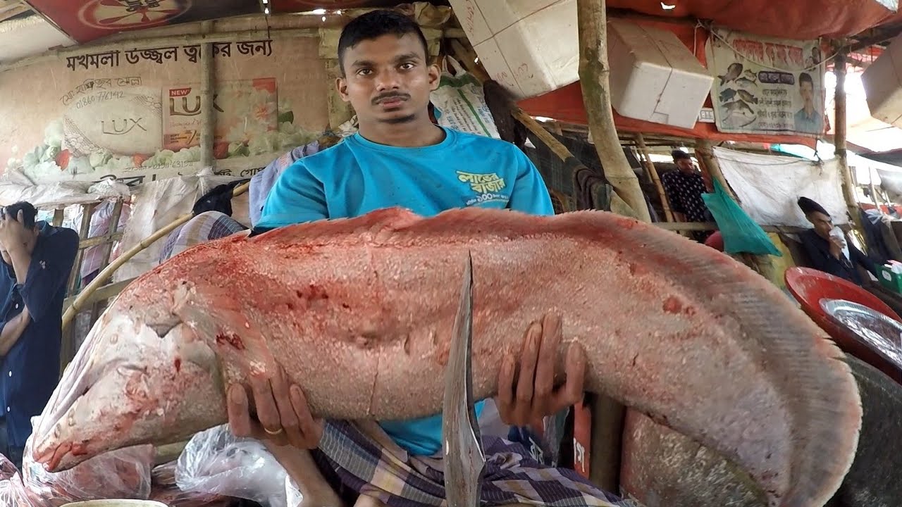 Big Chitol Fish Cutting Market | Wonderful Red Cup Fish Cutting Skills ...