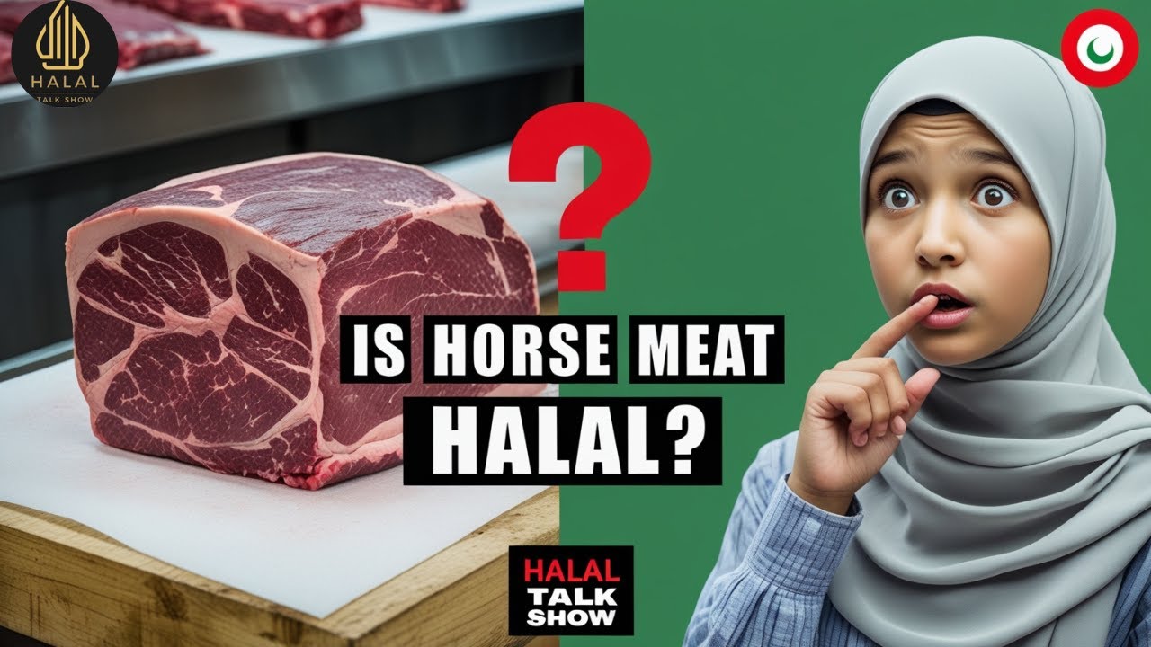 Is Horse Meat Halal or Haram? | Islamic Perspective on Eating Horse Meat 🐎 | Halal Food Guide ...
