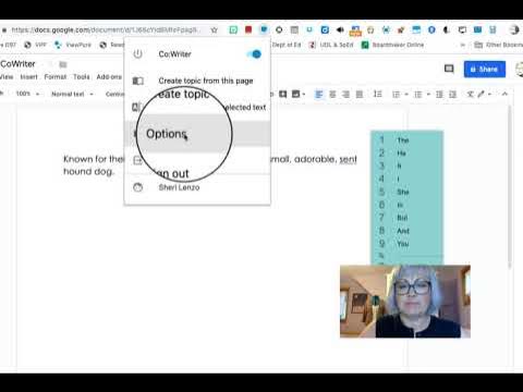 CoWriter Basics chrome extension - YouTube