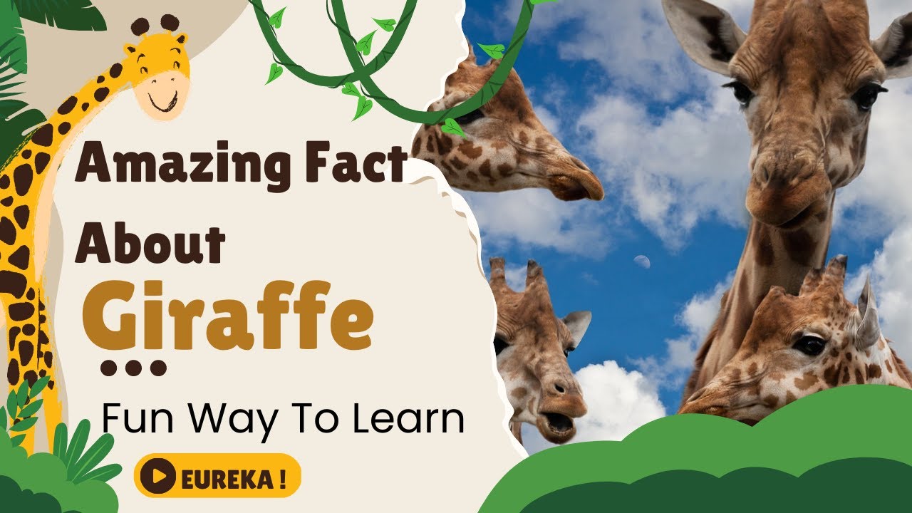 10 Amazing Facts About Giraffe For Kids: Learn Interesting Fact About ...