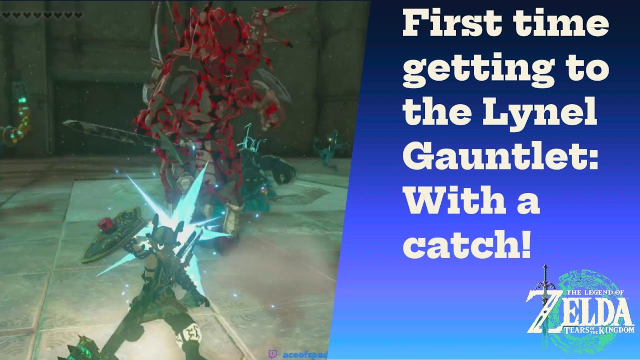The Legend of Zelda TOTK - The Lynel Gauntlet: With a catch #zeldatotk ...