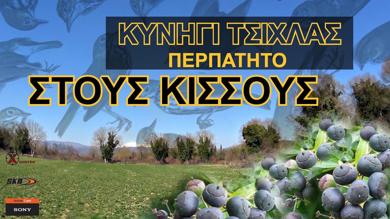 ΠΕΡΠΑΤΗΤΟ ΚΥΝΗΓΙ ΣΤΟΥΣ ΚΙΣΣΟΥΣ - YouTube