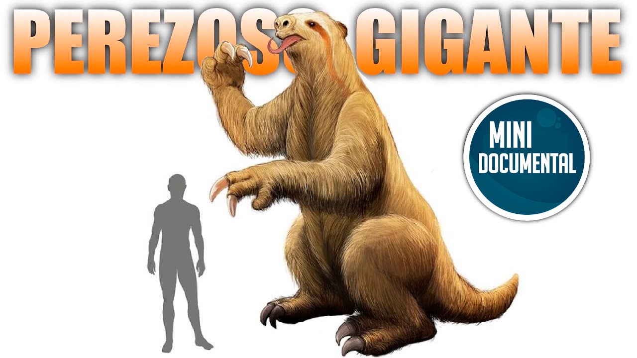 Perezoso gigante - Megaterios (mini documental) - YouTube