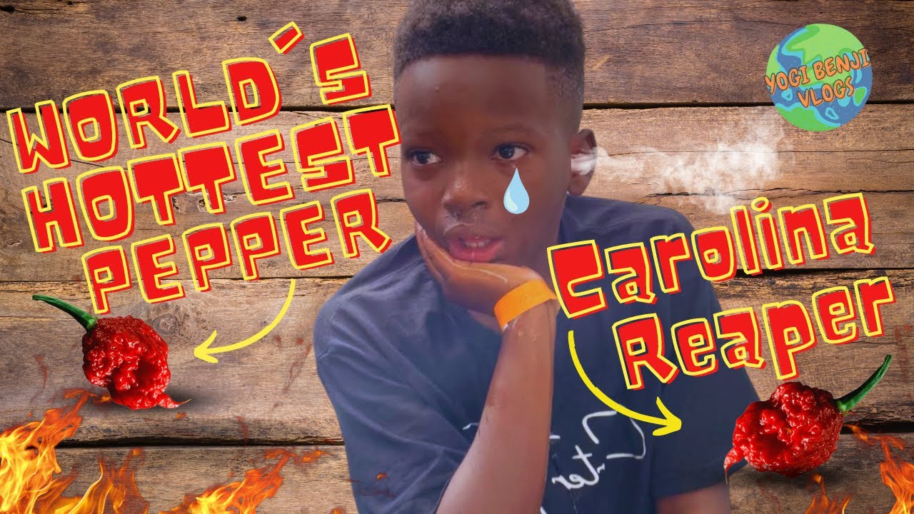 YOGI BENJI VLOGS| WORLD'S HOTTEST PEPPER!!! CAROLINA REAPER **EXTREMELY ...