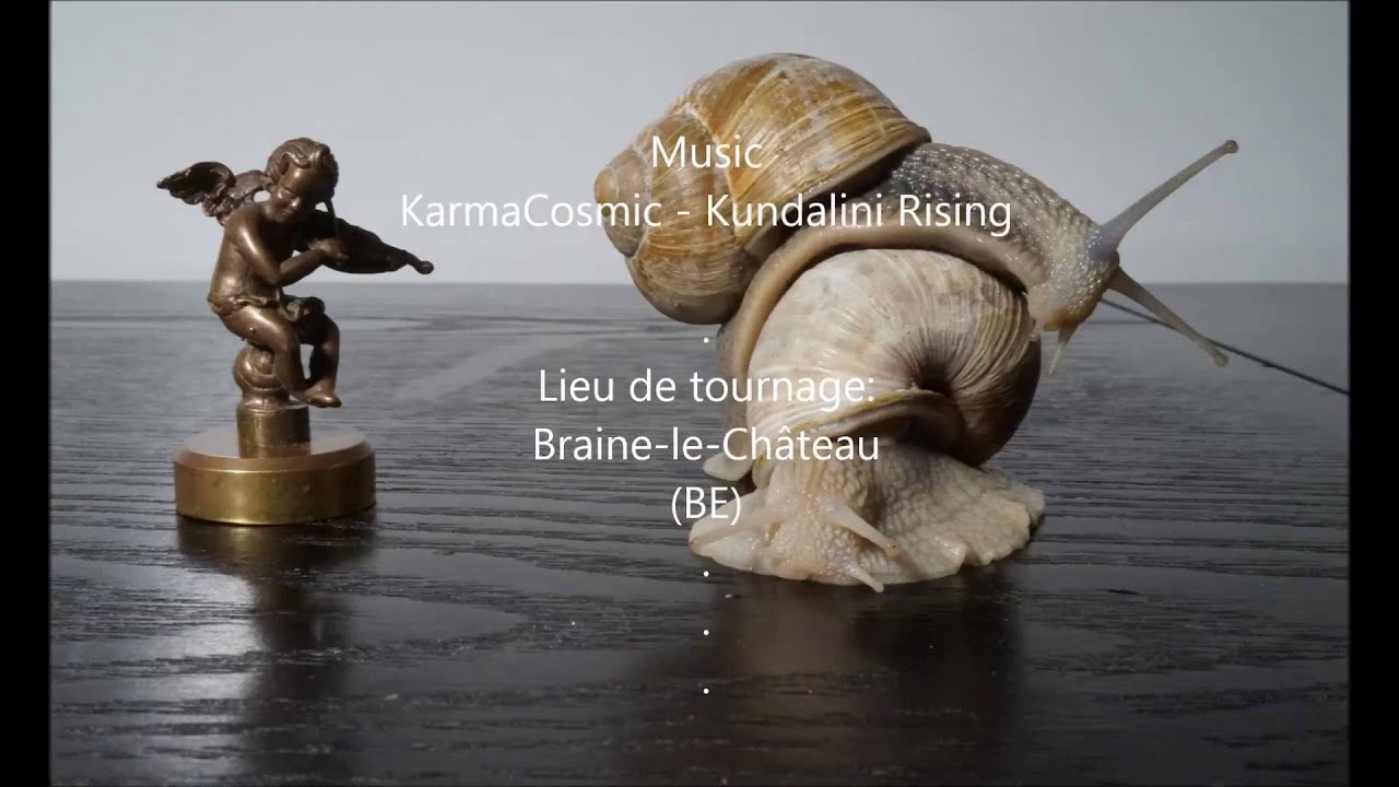 snail dart - the mating dance (2016 - cmm) - YouTube