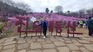 Azalea Garden