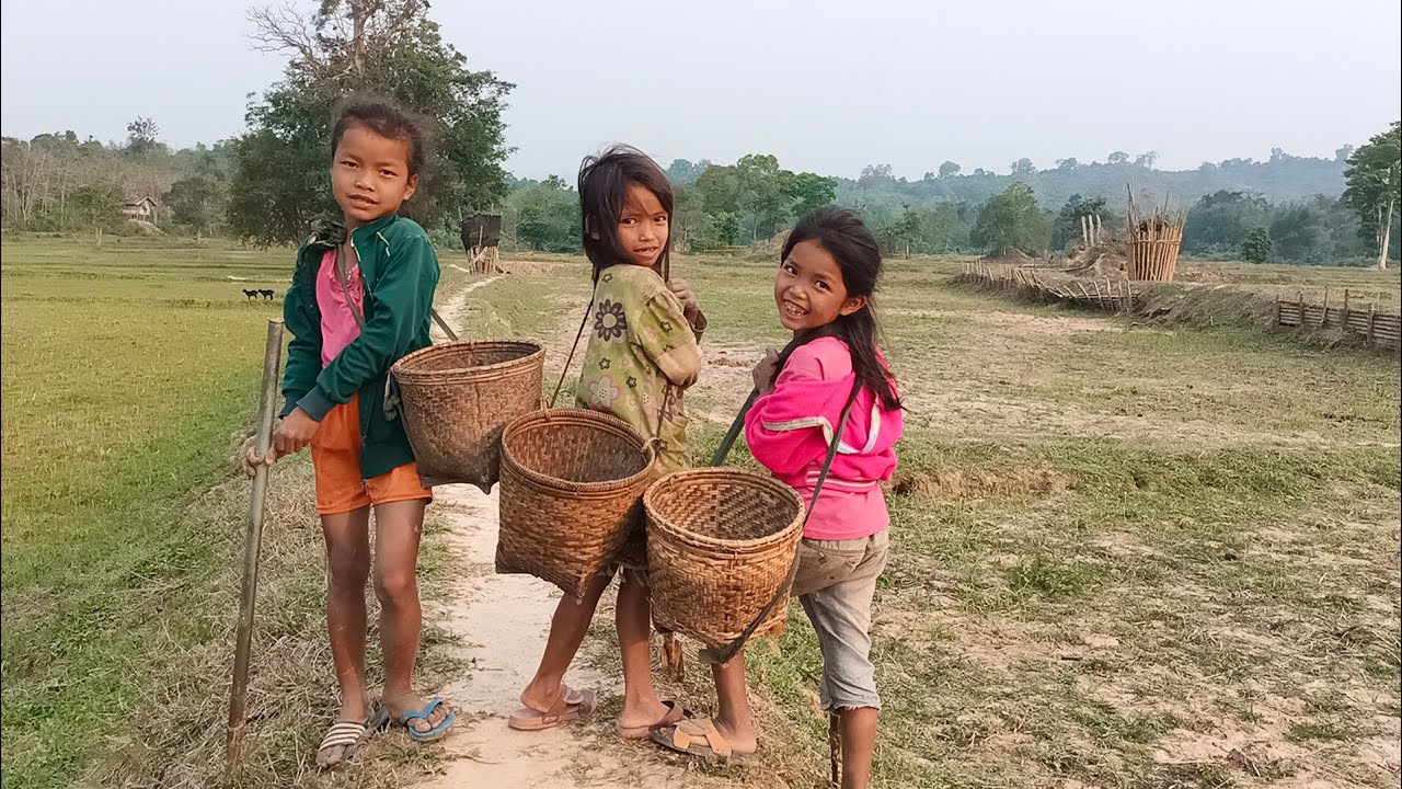 Abundance of nature Watcing children in the country side earn their ...