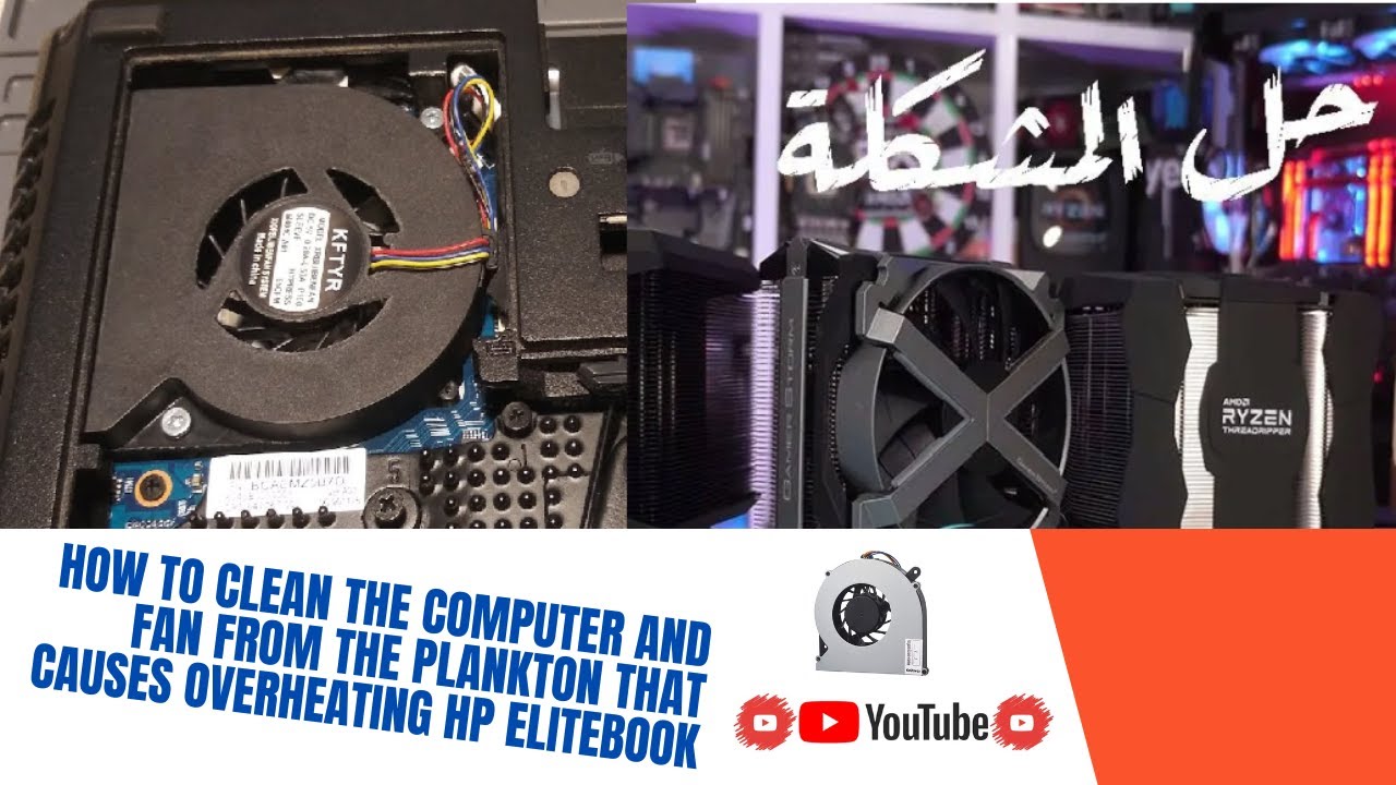 How to clean the computer and fan from the plankton that causes ...
