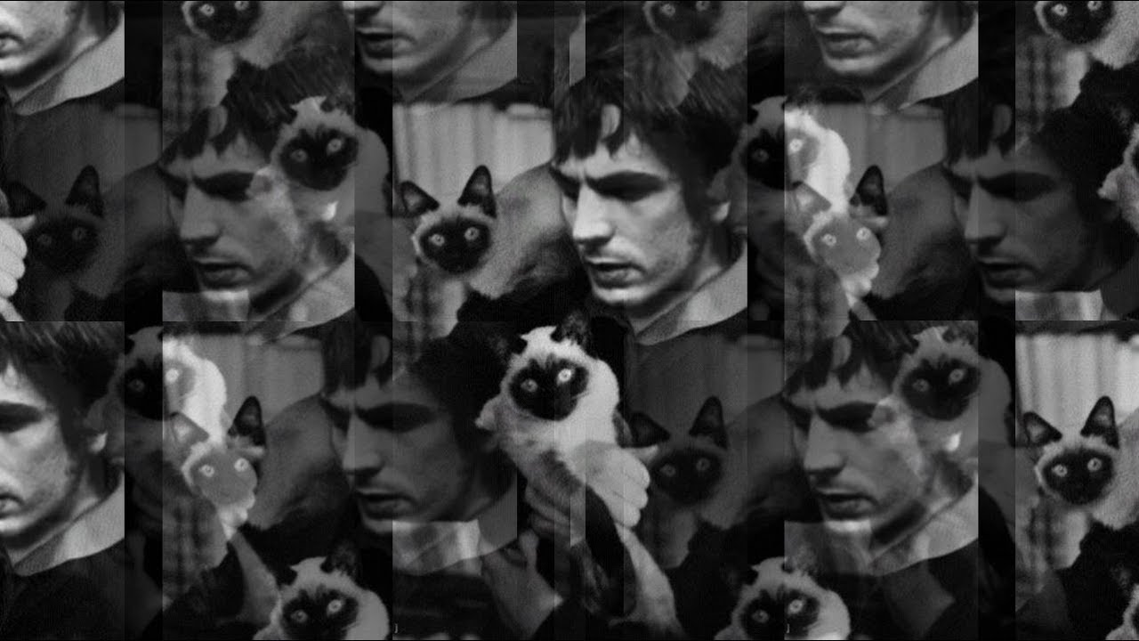 PINK FLOYD Lucifer Sam (1967) [Lyrics/HQ] - YouTube
