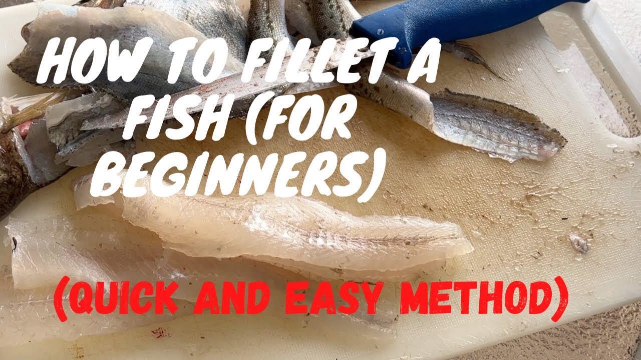 How to Fillet a Fish For Beginners: Simple and Easy Instructions - YouTube