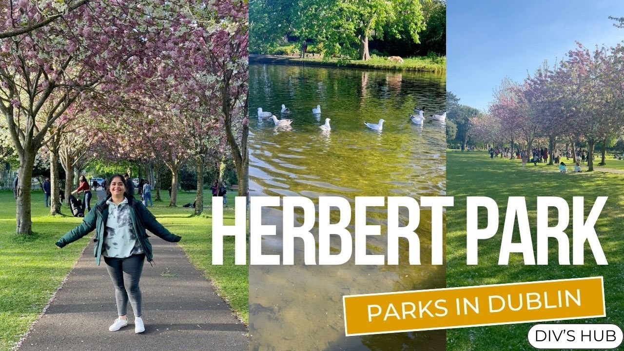 Spring in Dublin | Herbert Park | Parks in Ireland | Indian in Ireland ...