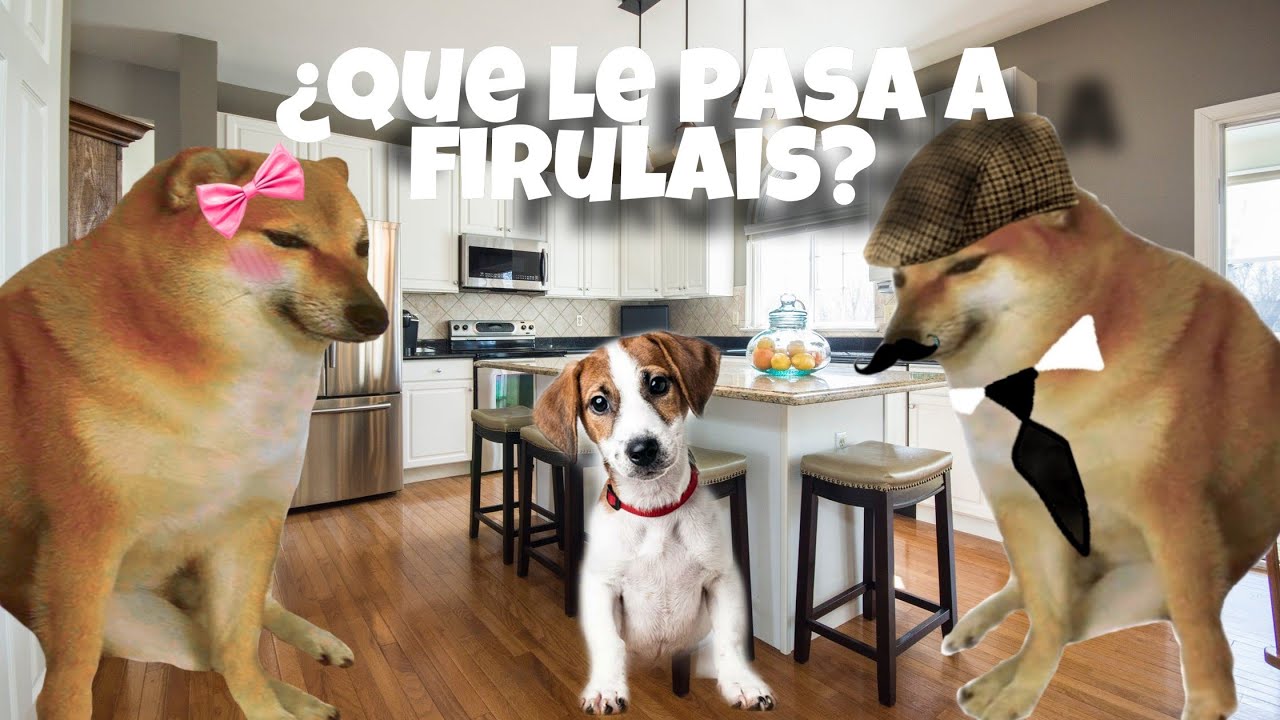 Que le pasa a firulais!? (version Cheems) - YouTube