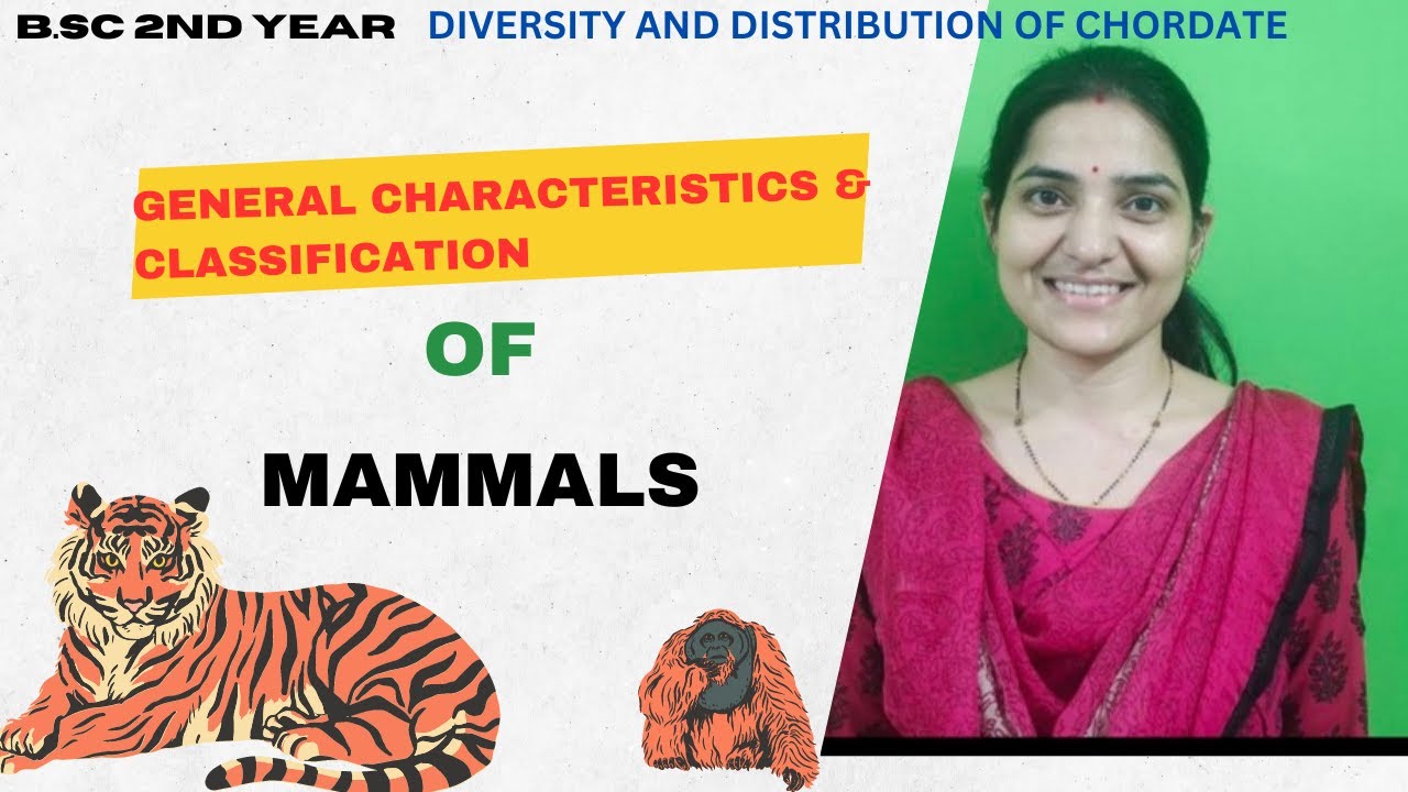 General Characteristics And Classifications of class Mammalia B.Sc 2nd ...