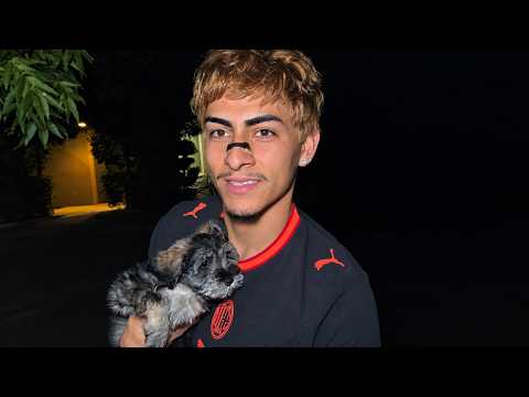 Zavala Buys A Dog!