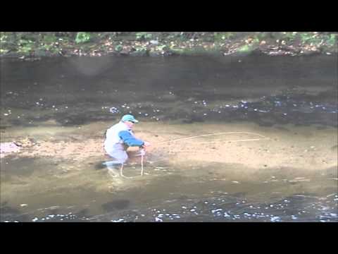 Czech Nymphing with Jiri Klima